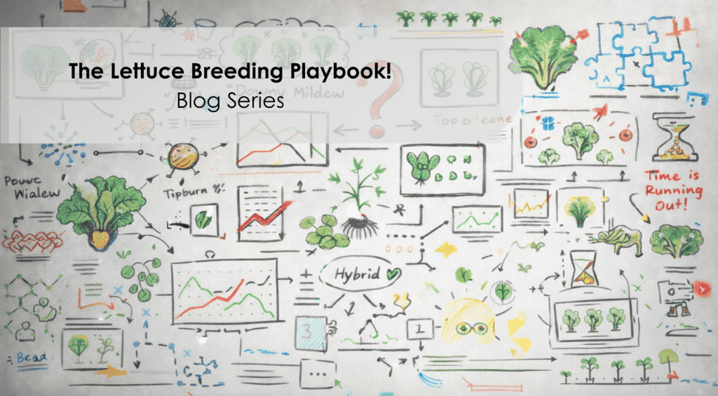 NRGene – Growing the future. Together. Lettuce in the Genomics Era ...